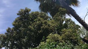 GeoEngineering Action Network on Reels