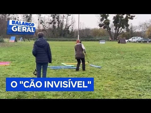 'Hobby dogging': the practice of walking imaginary dogs becomes a trend in Germany.