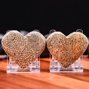 Java Fossilized Coral Hearts Gift Set - Etsy