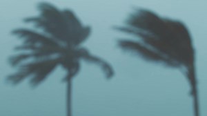 3K views | Live streaming is available without subscription for the duration of Milton coverage on our website at www.mynews13.com and on our Spectrum News app which can be downloaded at spectrumnewsapp.com. | Spectrum News 13 | Facebook