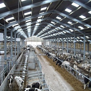 [Hot Item] Modern Layout Design Steel Structure Cow&Sheep Shed Farm House Building