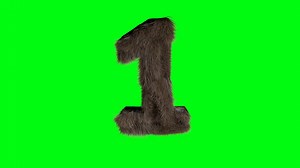 Furry Hairy 3d Number 1 On Green Screen Stock Motion Graphics SBV-347734120 - Storyblocks