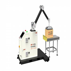 [Hot Item] China Factory Robot Arm Load 30kg for Product Handling Palletizing