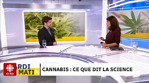 XX | Segment | RDI matin week-end | ICI Radio-Canada.ca