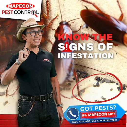 Tiny black droppings around your home? It’s not just dirt , it’s a sign of a cockroach infestation. Don’t ignore it! 🪳🚫 𝐈𝐩𝐚-𝐌𝐀𝐏𝐄𝐂𝐎𝐍 𝐦𝐨 𝐧𝐚! 🚫🪳 D.I.A.L 📞 8567 - PEST (7378) 📲 09209113886 (Smart) 📲 09175285709 (Globe) 📲 09228242295 (Sun) or send us a message at 📧 customercare@mapecon.com.ph 🌐www.mapecon.com #IpaMAPECONMo #provenprotection #trustedforgenerations #cockroaches #MAPECONProtects #ONEMapecon | MAPECON Philippines, Inc.