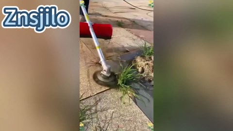 Amazon.com: Znsjilo Universal Steel Wire Trimmer Head, 6"/8" String Trimmer Replacement Head, Upgraded Unbreakable Wire Weed Trimmer Head, Heavy-Duty Brush Cutter Replacement for Most Trimmers (8 in-24) : Patio, Lawn & Garden