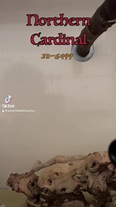 1K views · 37 reactions | Can you tell the difference between a male...