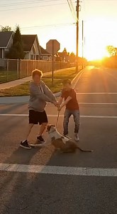 191K views · 1.4K reactions | "THEY THOUGHT NO ONE WOULD CARE ABOUT A...