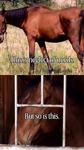 16K views · 559 reactions | Keeping horses stalled for most of the...