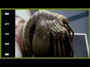 Alien (1979) Film - Facehugger Bloodacid Szene (Deutsch/German)