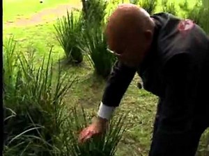 Sortilegio cap.71 parte 4/5